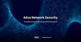 Quantum-safe security